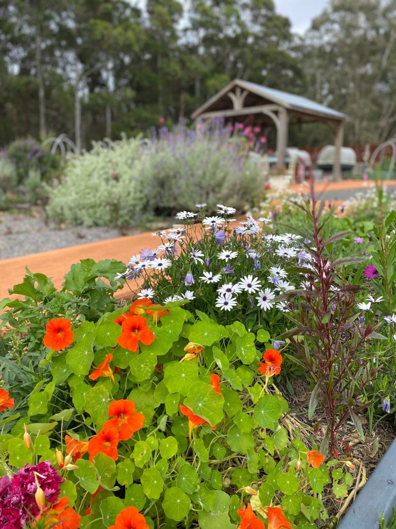 Sensory Community Garden Port Stephens The Salvation Army Australia
